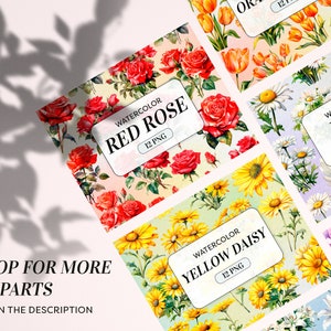 Watercolor Blue Daisy Clipart - Watercolor Flowers PNG - Commercial Use ...