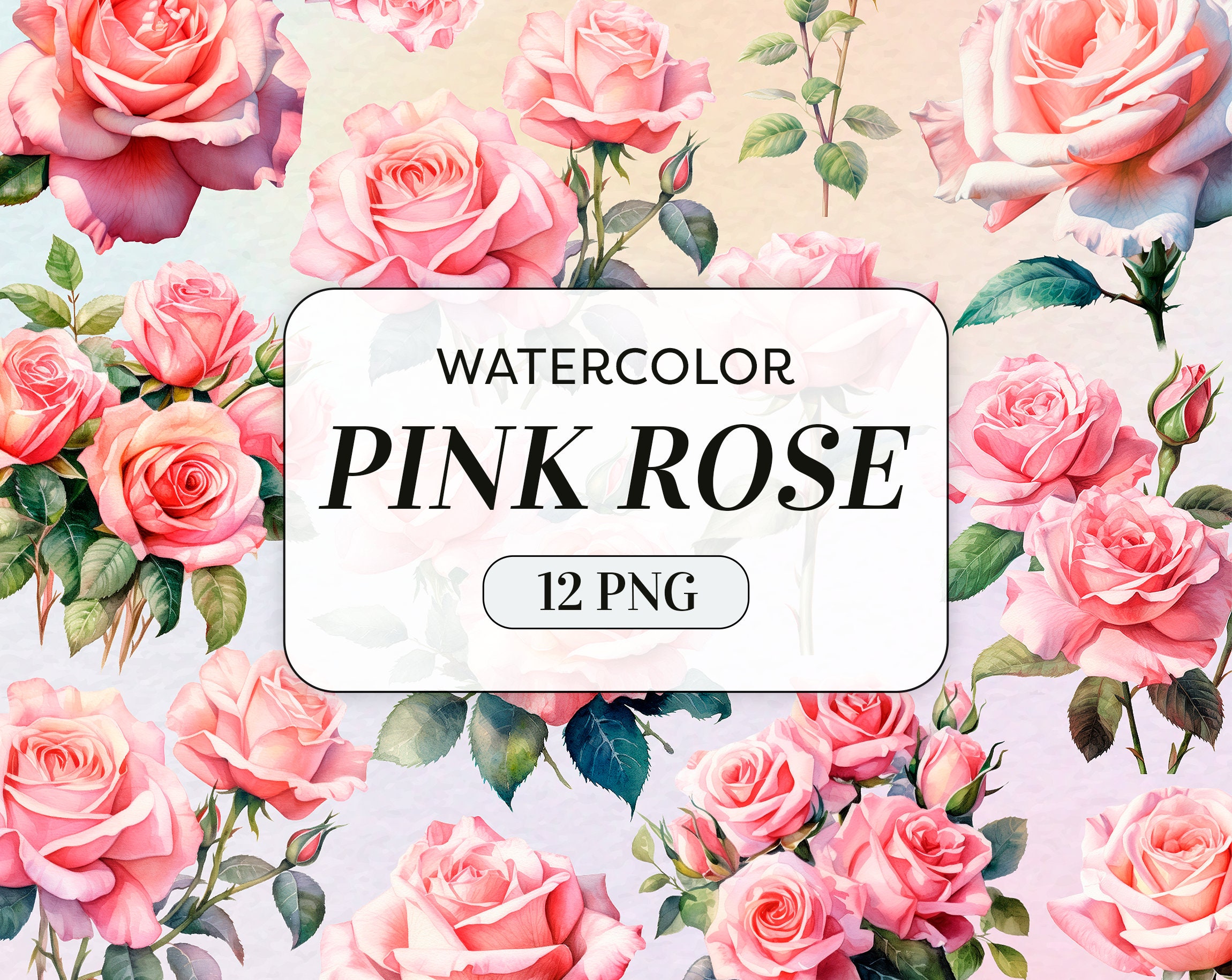 Watercolor Pink Rose Clipart - Watercolor Flowers PNG - Commercial Use ...