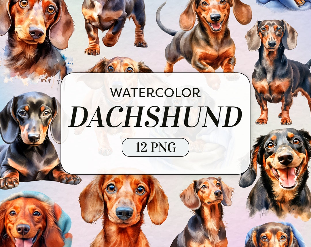Watercolor Dachshund Clipart - Doxie Dog PNG - Commercial Use - Cute ...