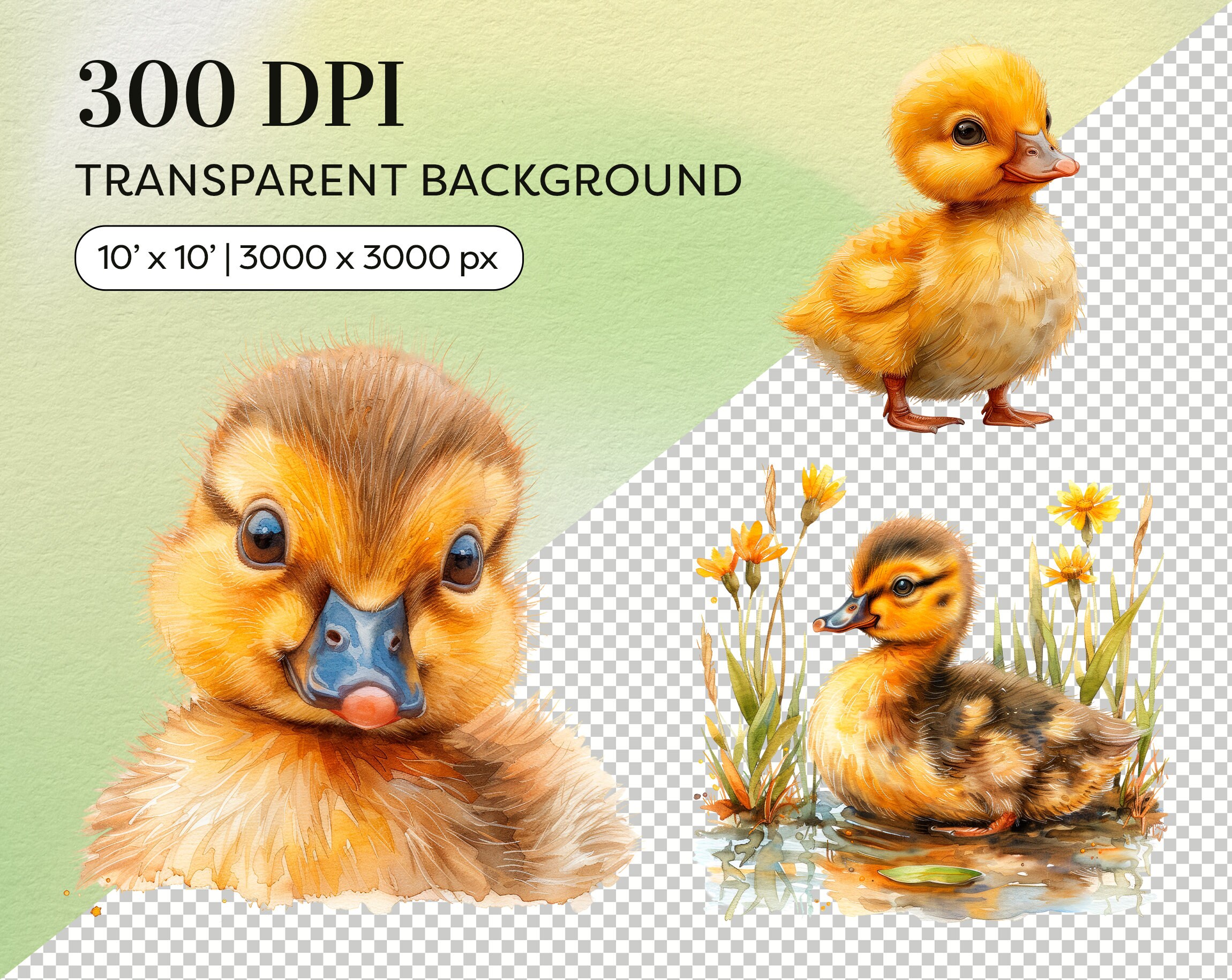 Watercolor Baby Duck Clipart - Cute Duck PNG - Commercial Use - Baby ...