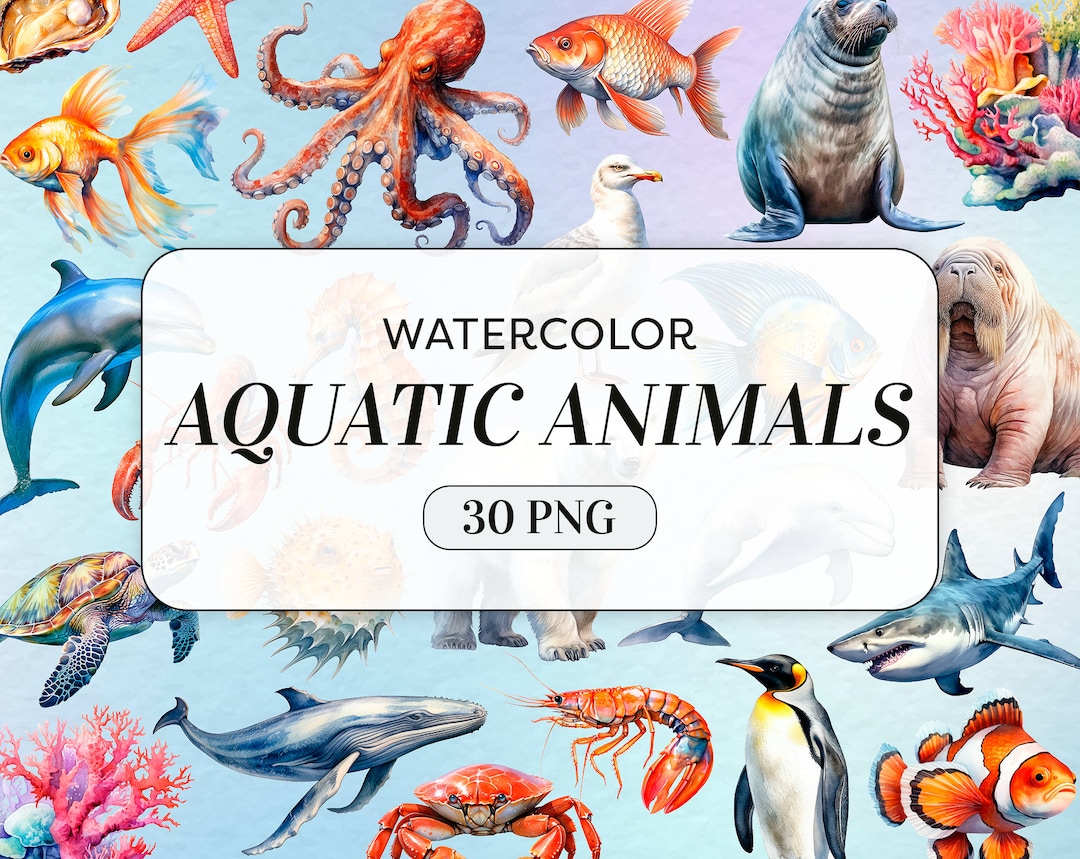 Aquatic Animals Clipart - Watercolor Sea Animals PNG - Commercial Use ...