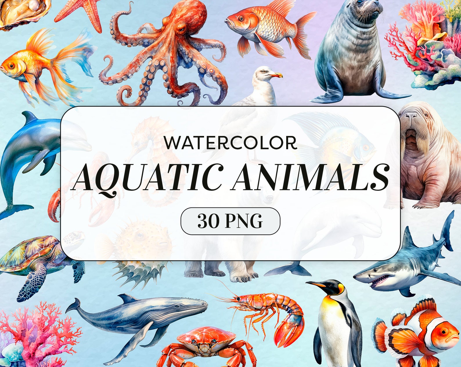Aquatic Animals Clipart - Watercolor Sea Animals PNG - Commercial Use ...