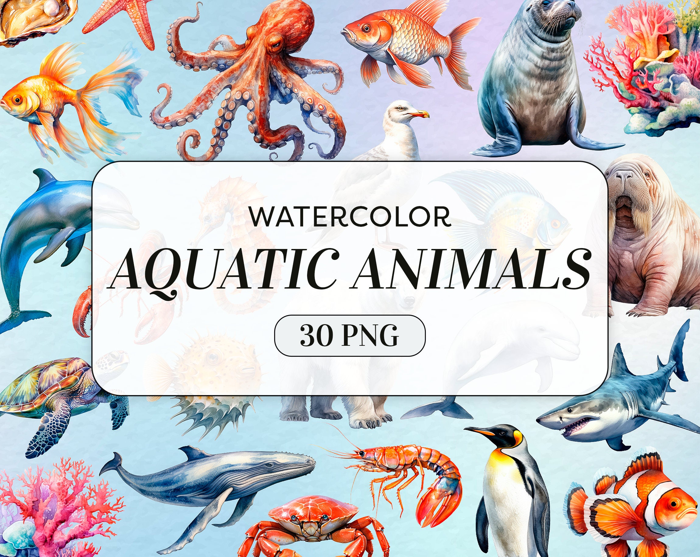 Aquatic Animals Clipart Watercolor Sea Animals PNG Commercial Use Ocean ...