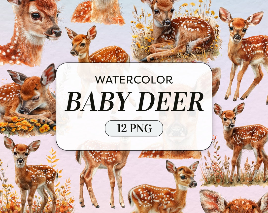Watercolor Baby Deer Clipart - Cute Deer PNG - Commercial Use - Baby ...