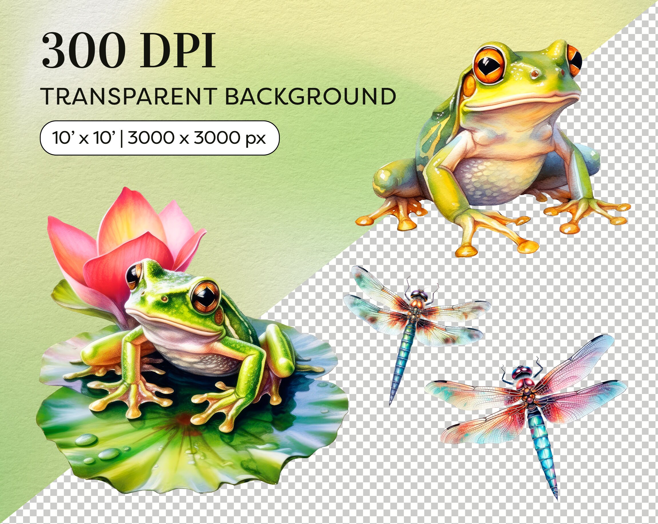 Watercolor Frogs Clipart - Cute Frogs PNG - Commercial Use - High ...