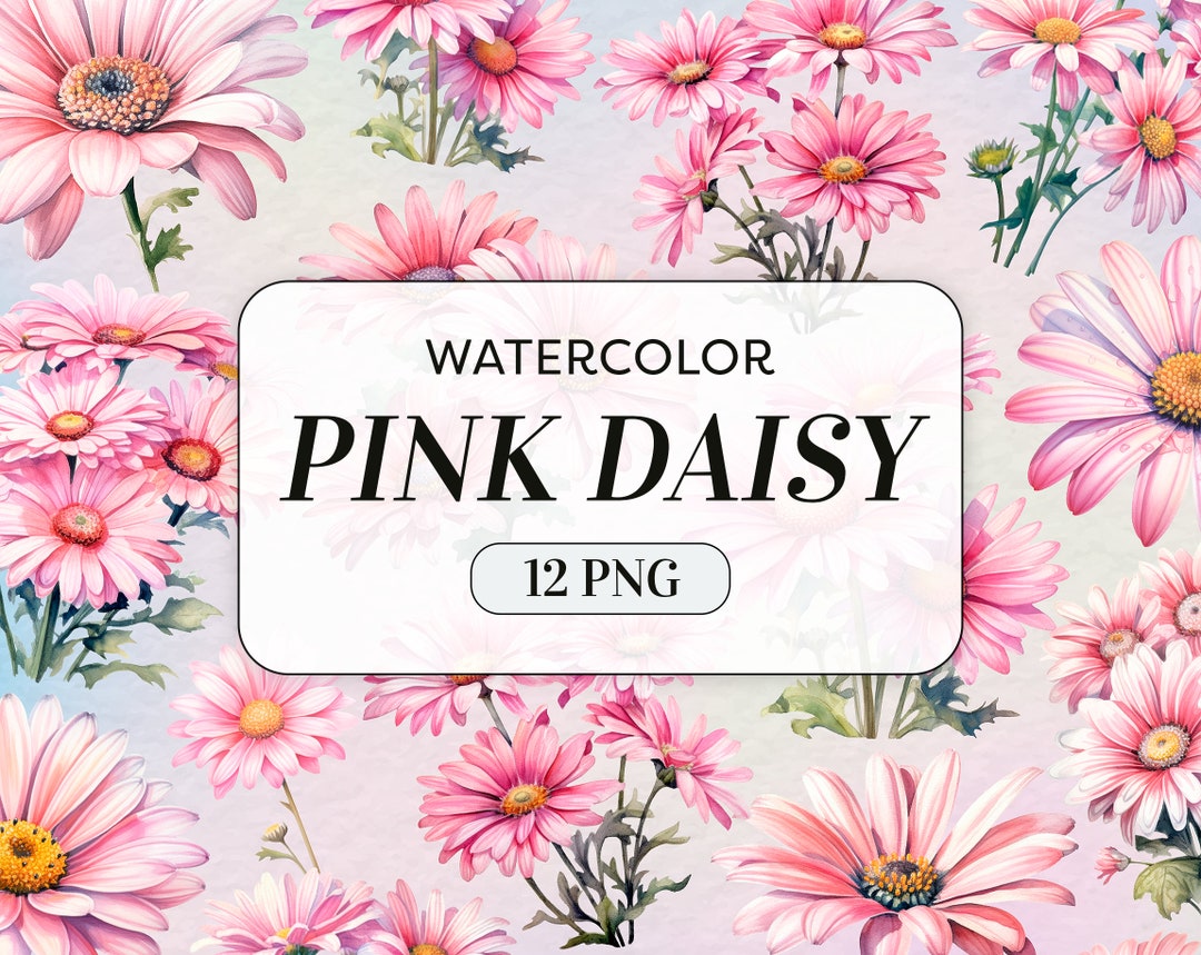 Watercolor Pink Daisy Clipart - Watercolor Flowers PNG - Commercial Use ...