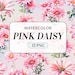 Watercolor Pink Daisy Clipart - Watercolor Flowers PNG - Commercial Use ...