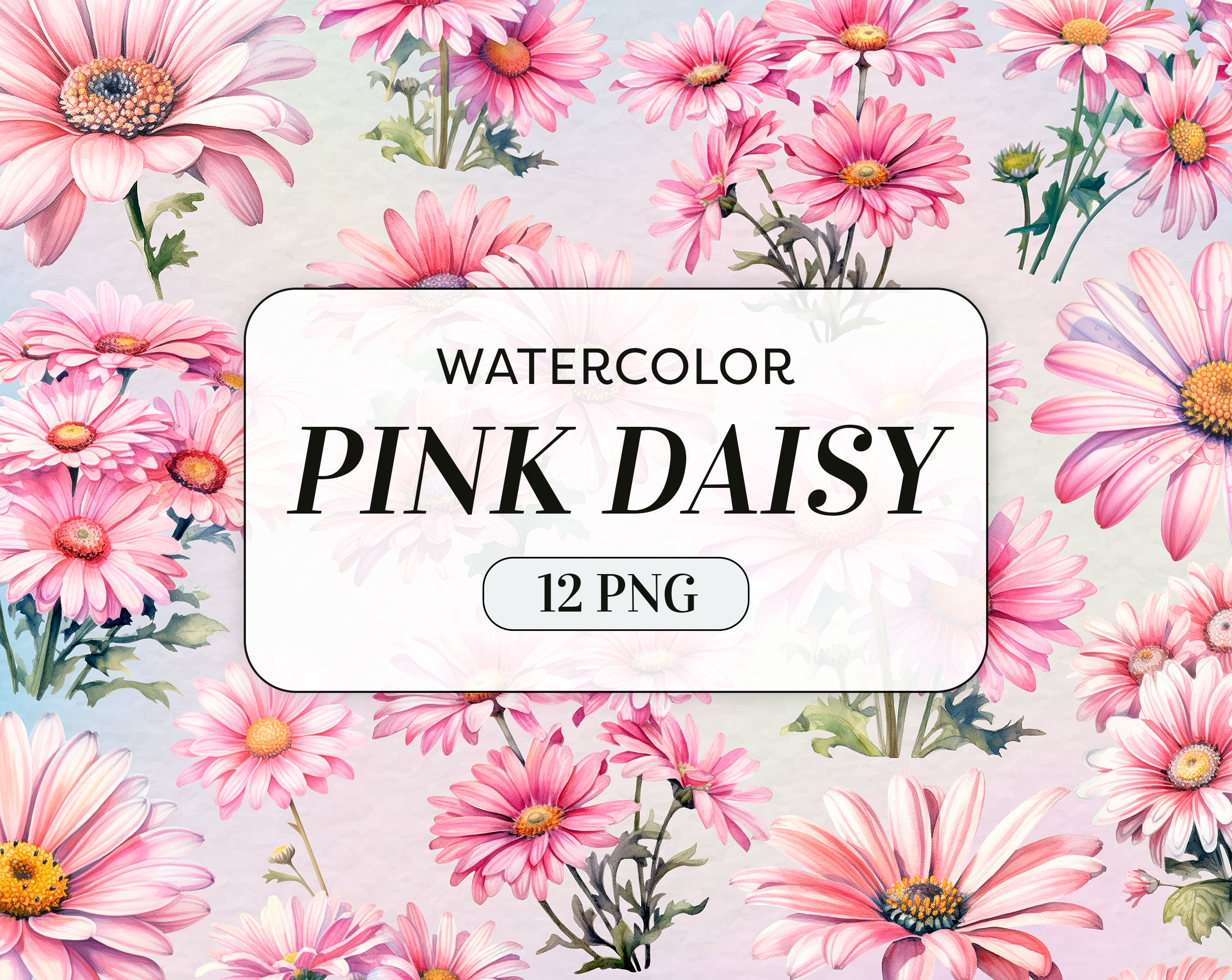 Watercolor Pink Daisy Clipart - Watercolor Flowers PNG - Commercial Use ...