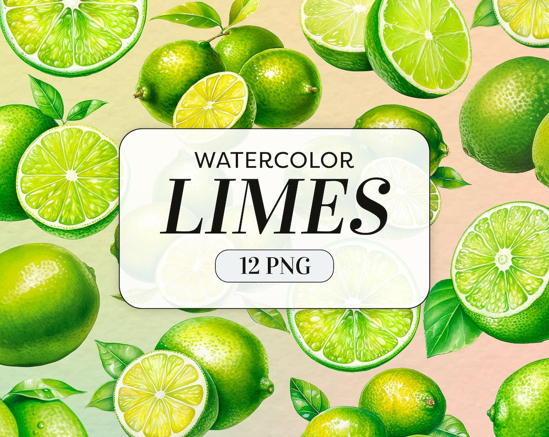 Watercolor Limes Clipart - Watercolor Fruits PNG - Commercial Use ...