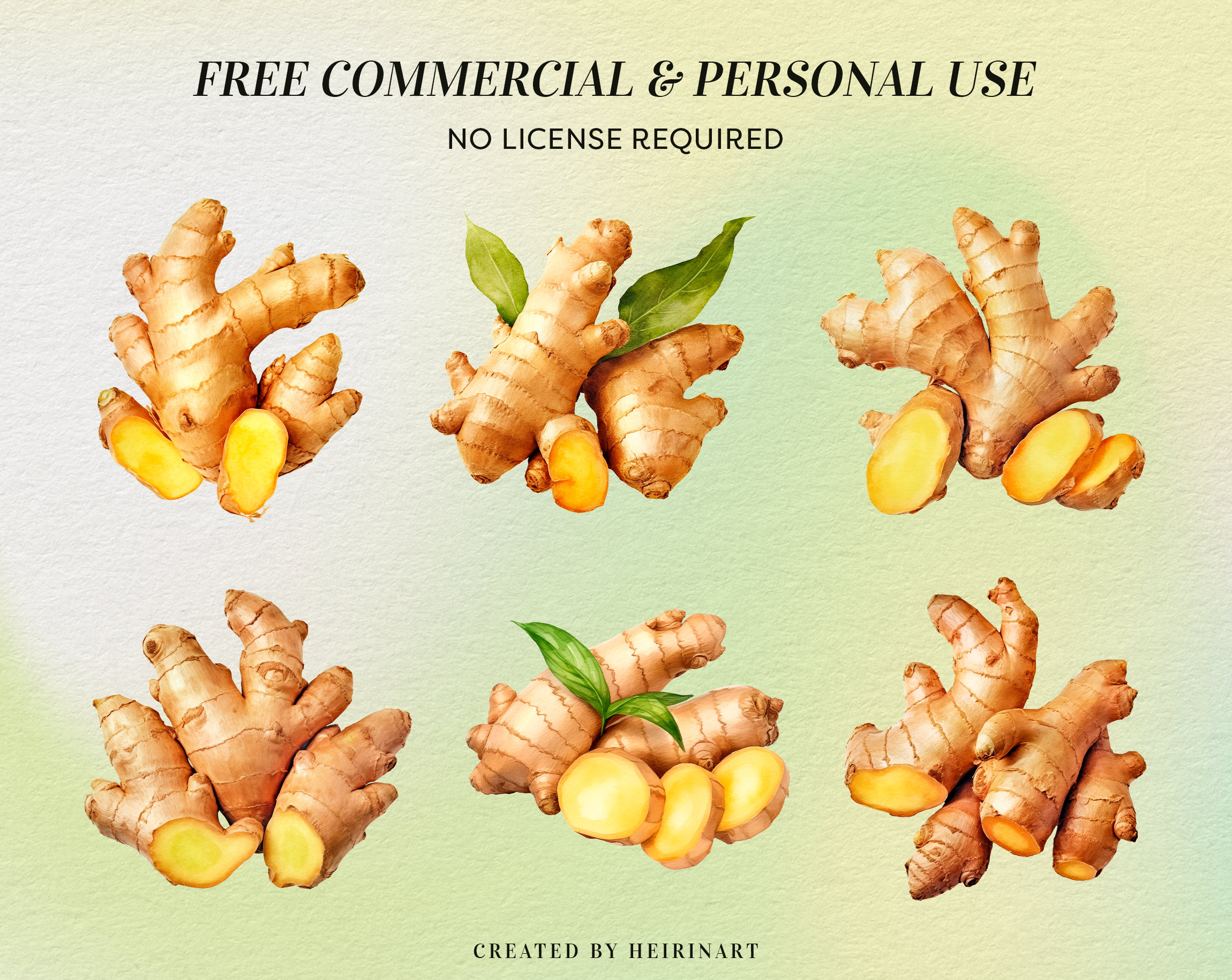 Watercolor Ginger Clipart Watercolor Vegetables PNG Commercial Use Ginger Root Clipart Ginger ...