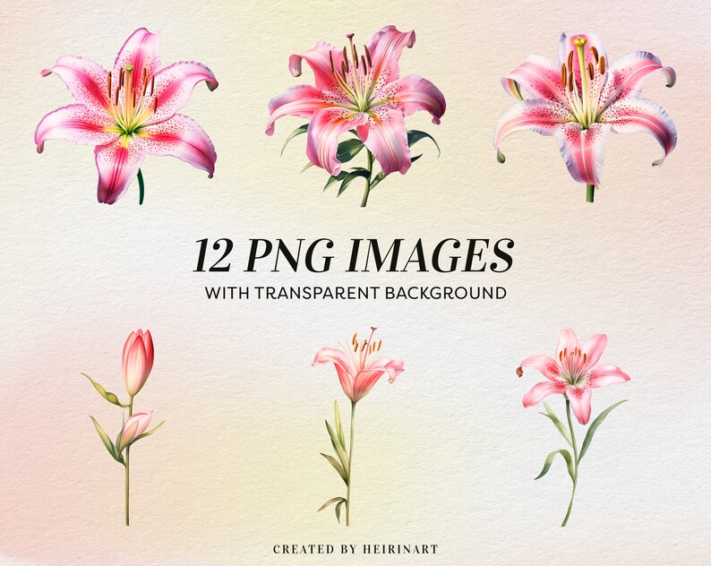 Watercolor Pink Lily Clipart - Watercolor Flowers PNG - Commercial Use ...