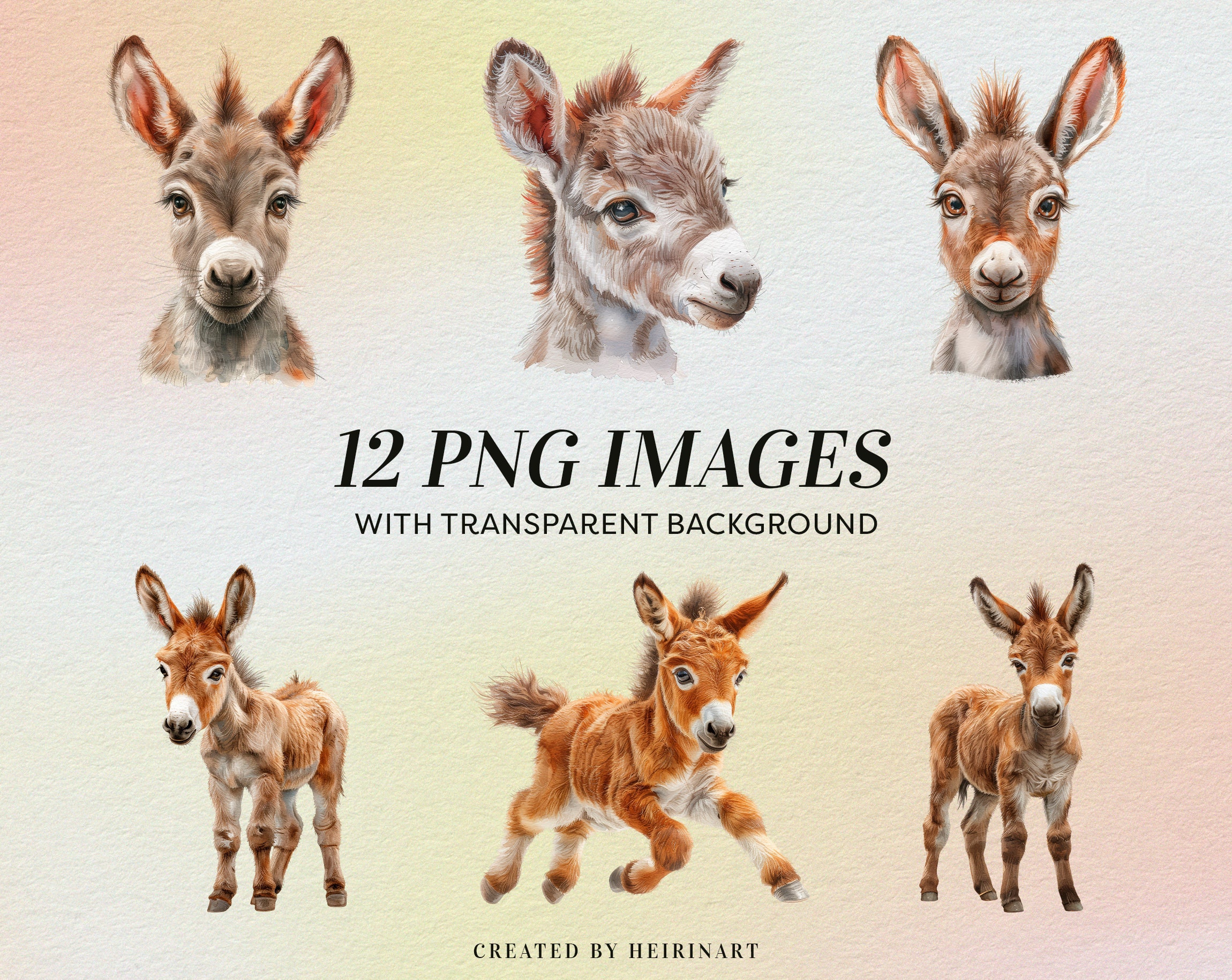 Watercolor Baby Donkey Clipart - Cute Donkey PNG - Commercial Use ...