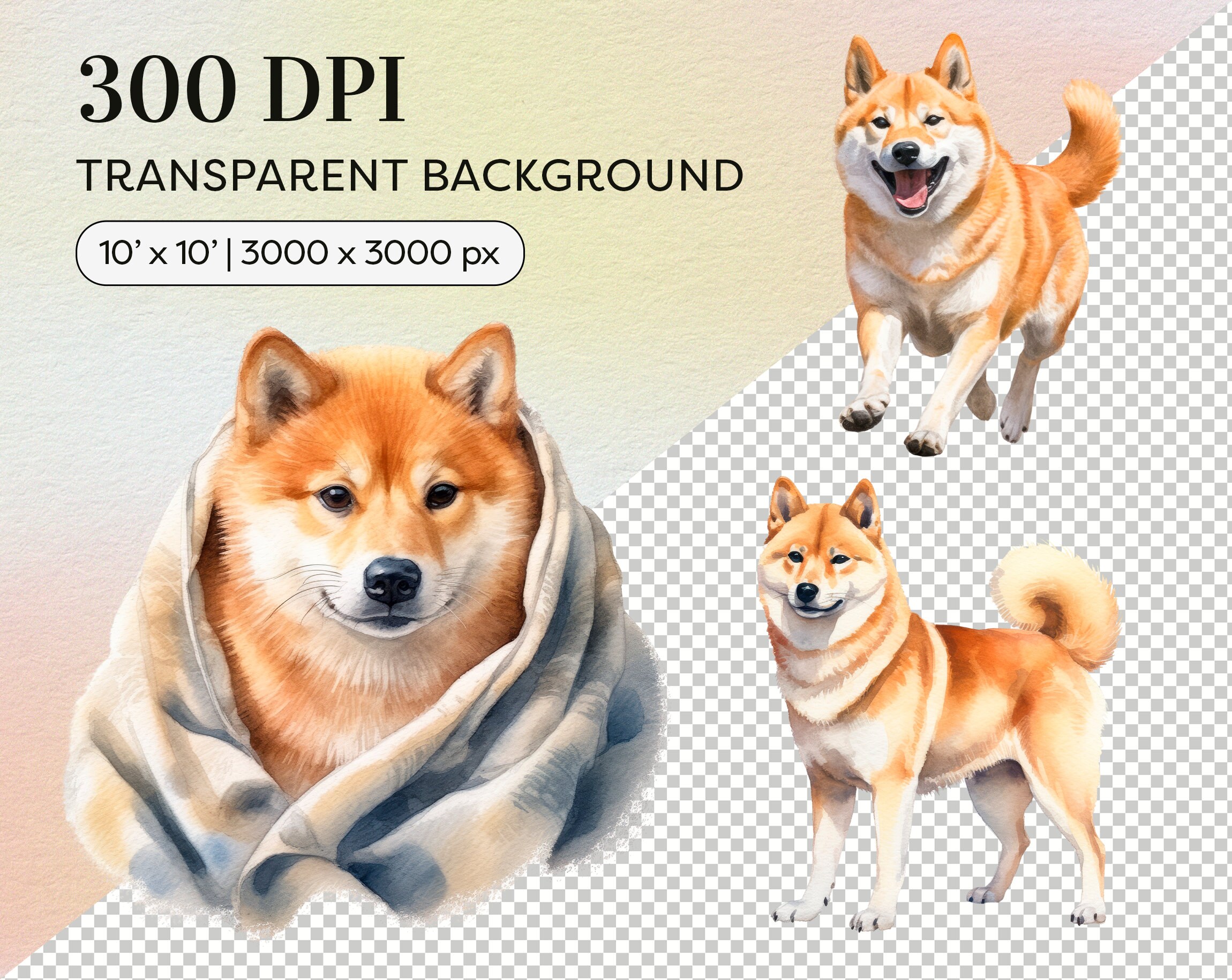 Watercolor Shiba Inu Clipart Pet Dog PNG Commercial Use Cute Dog ...
