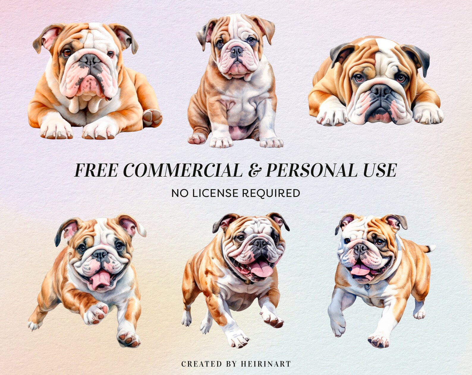 English Bulldog Clipart - British Bulldog - Commercial Use - Cute Dog ...