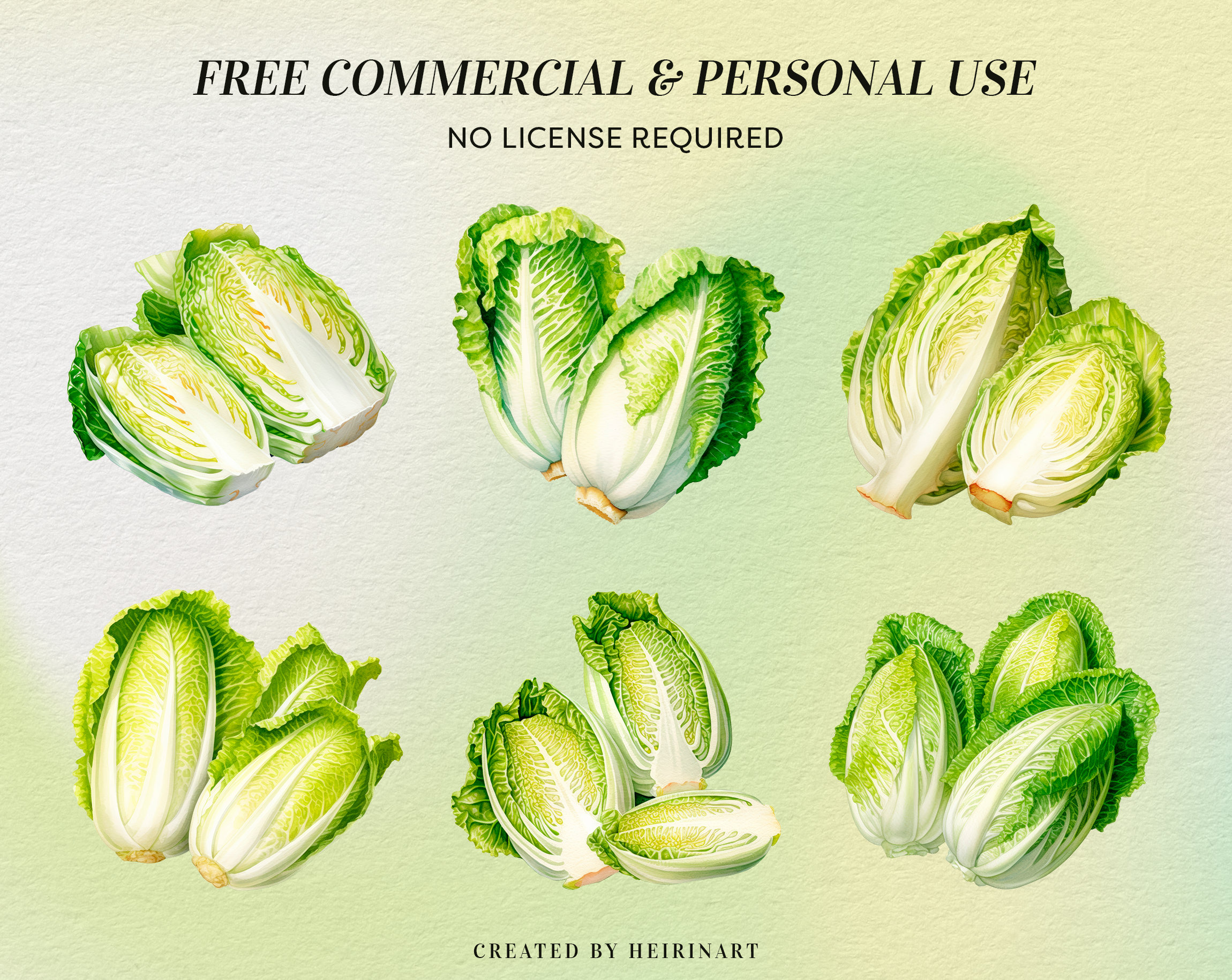 Watercolor Napa Cabbage Clipart - Watercolor Vegetables - Commercial ...