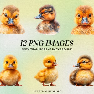 Watercolor Baby Duck Clipart - Cute Duck PNG - Commercial Use - Baby ...