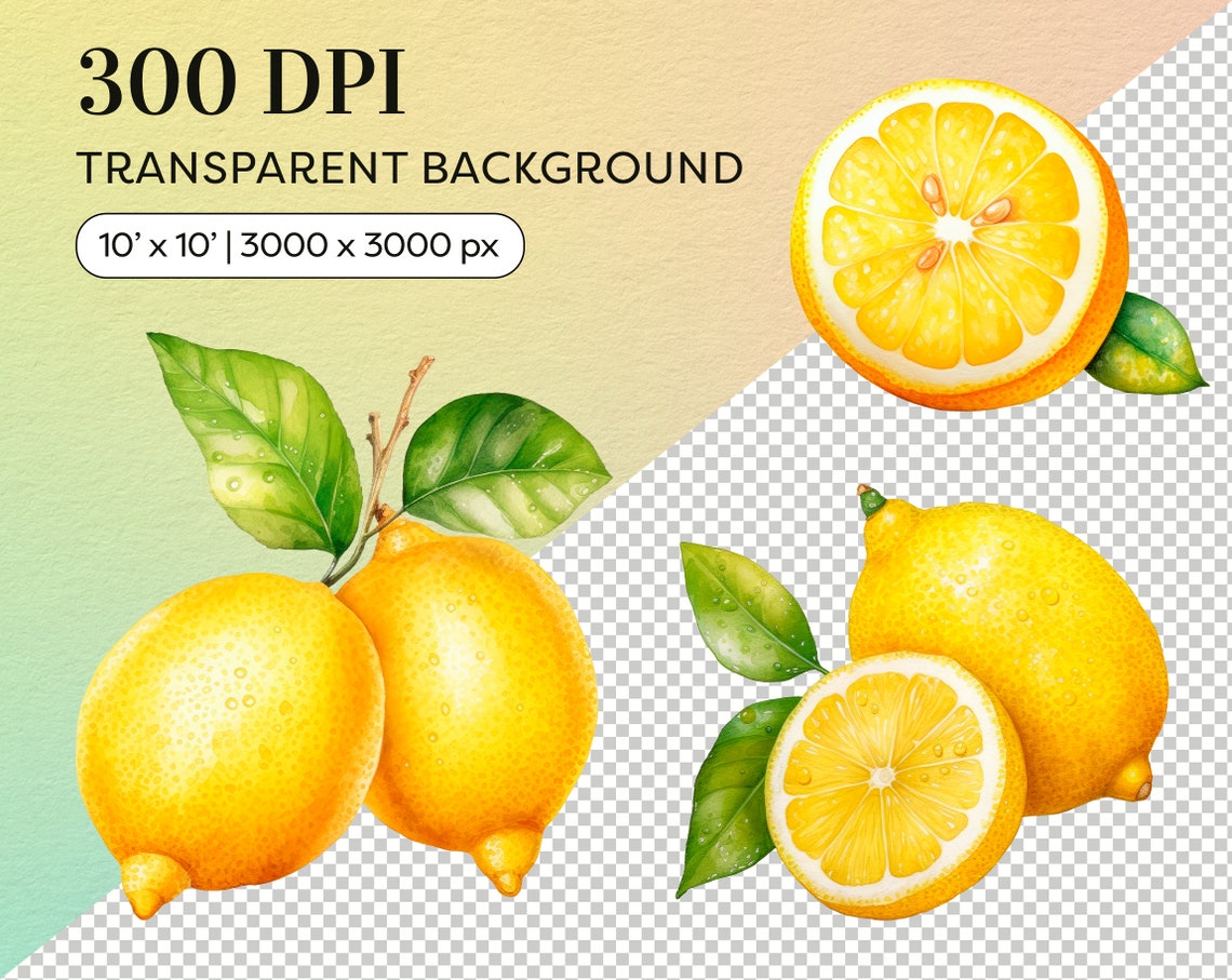 Watercolor Lemons Clipart Watercolor Fruits PNG Commercial Use Juicy ...
