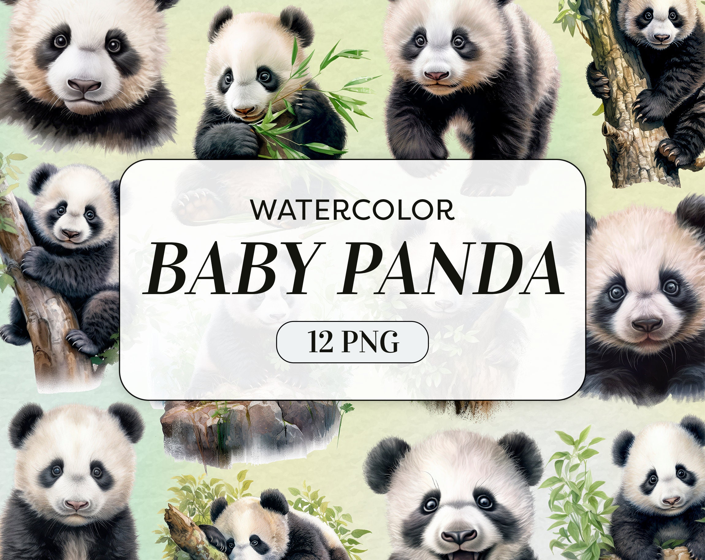 Watercolor Baby Panda Clipart Cute Panda PNG Commercial Use Baby ...