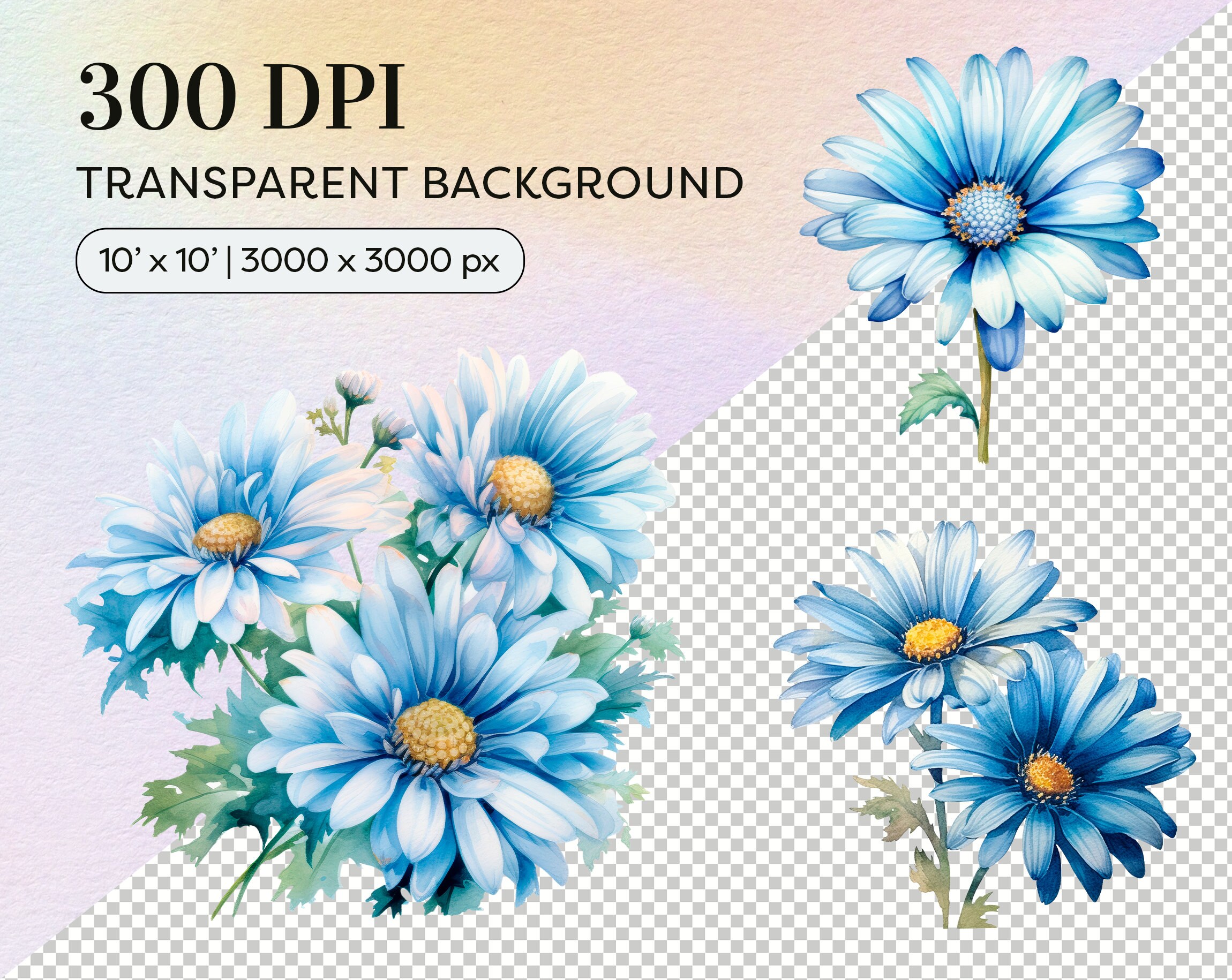 Watercolor Blue Daisy Clipart - Watercolor Flowers PNG - Commercial Use ...