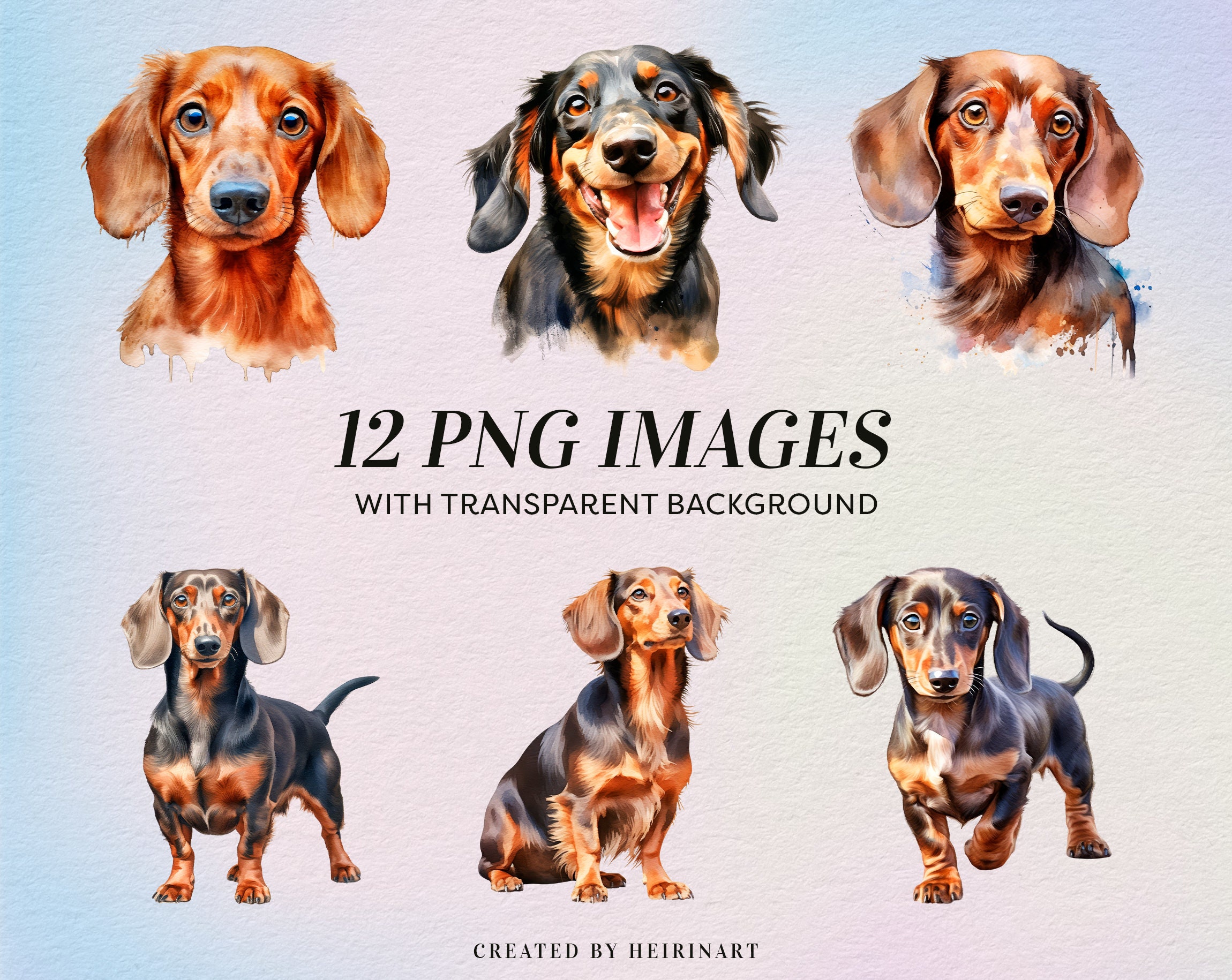 Watercolor Dachshund Clipart Doxie Dog PNG Commercial Use Cute Dog ...