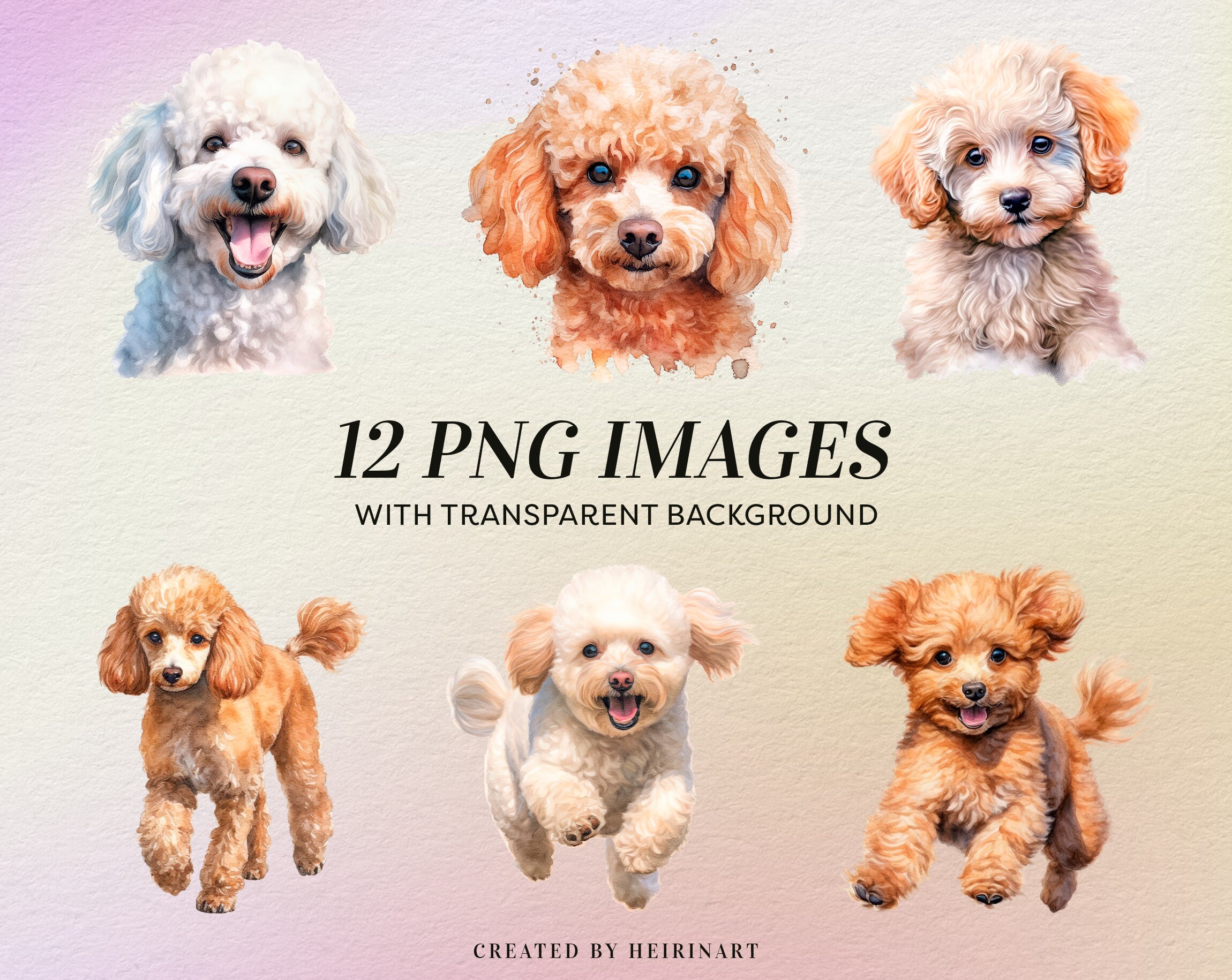 Watercolor Poodle Clipart - Miniature Poodle - Commercial Use - Cute ...