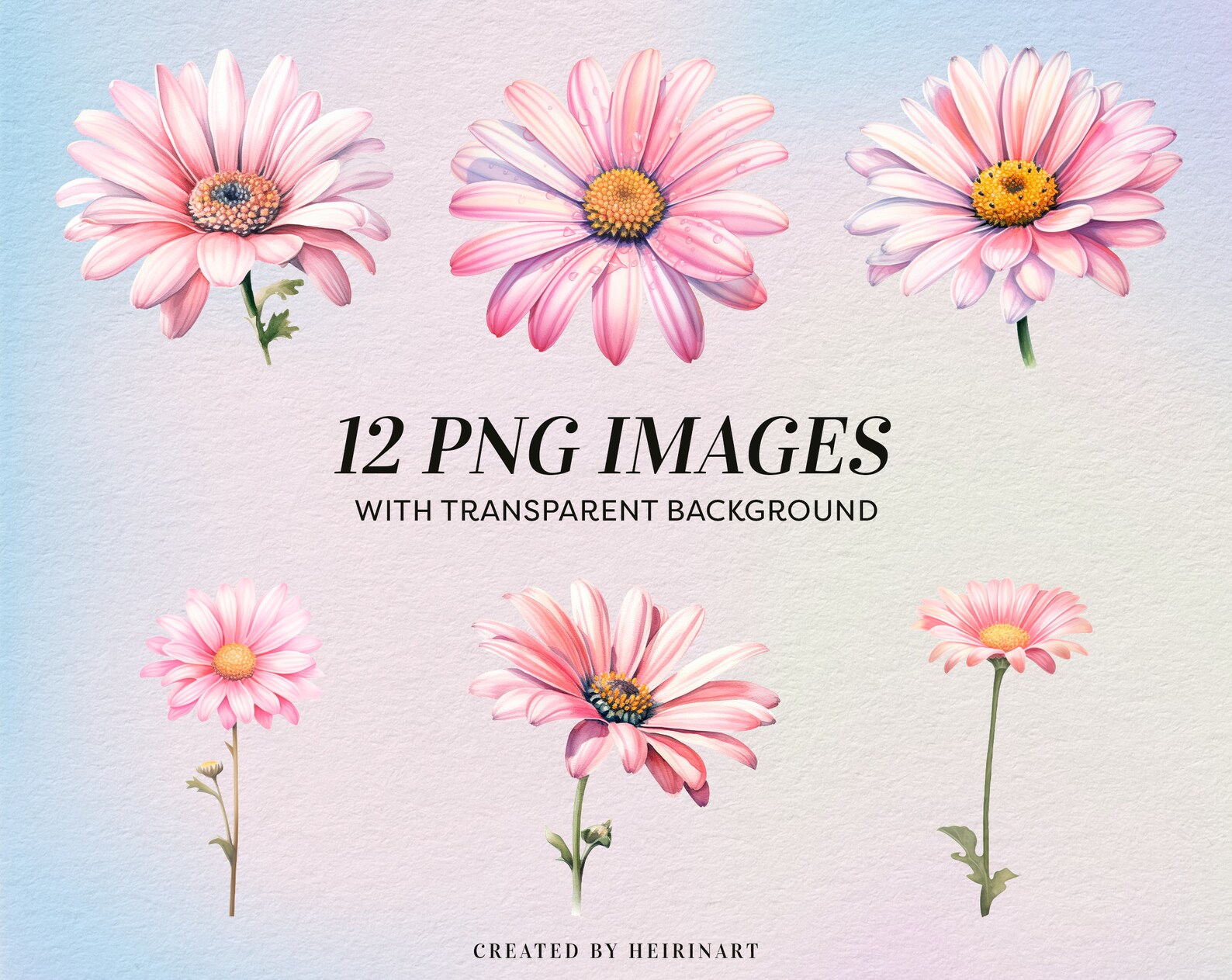 Watercolor Pink Daisy Clipart - Watercolor Flowers PNG - Commercial Use ...