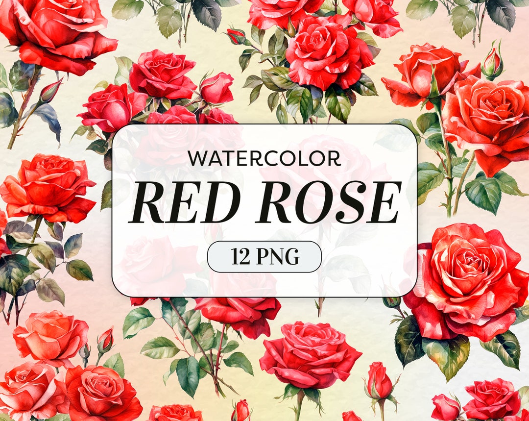 Watercolor Red Rose Clipart - Watercolor Flowers PNG - Commercial Use ...