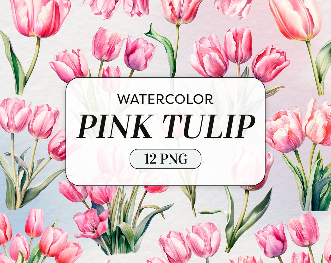Watercolor Pink Tulip Clipart - Watercolor Flowers - Commercial Use ...