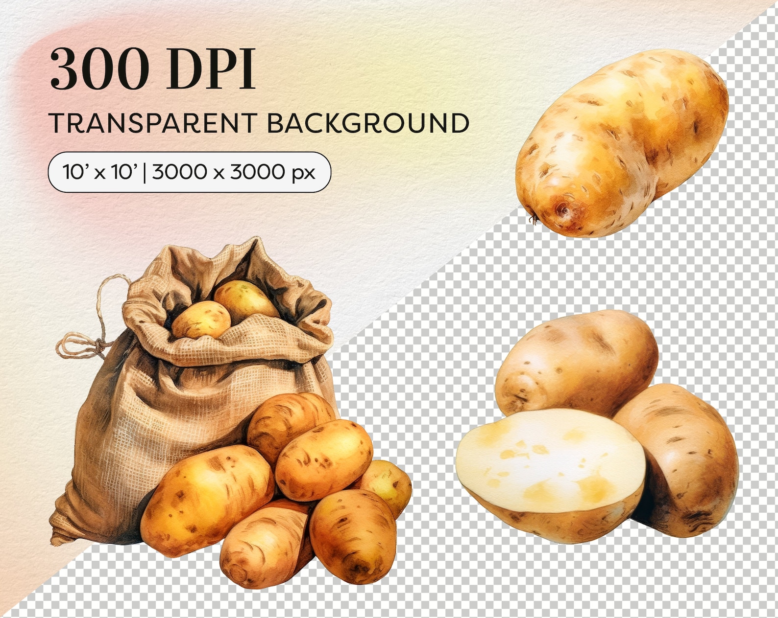 Watercolor Potato Clipart - Watercolor Vegetables PNG - Commercial Use ...
