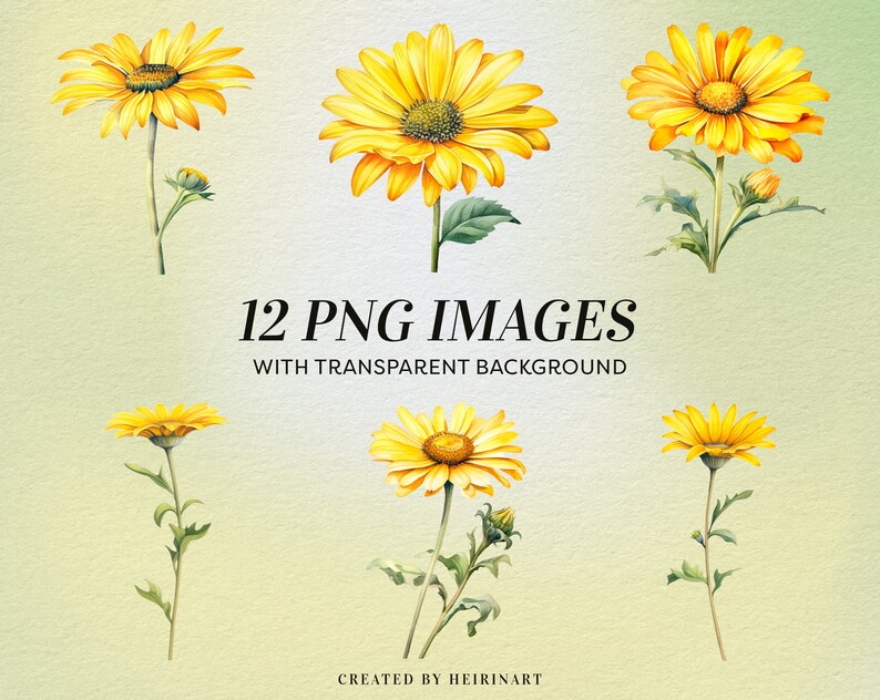 Watercolor Yellow Daisy Clipart - Watercolor Flowers PNG - Commercial ...
