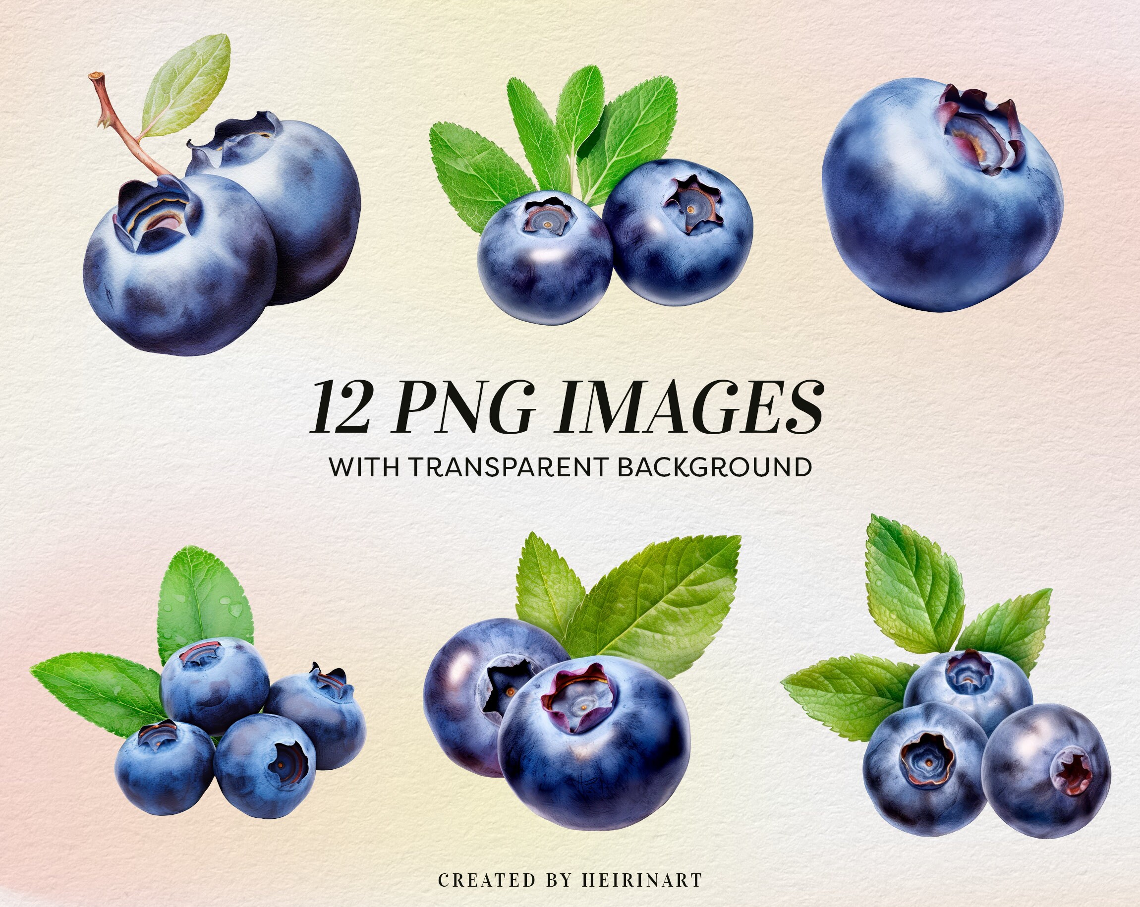 Watercolor Blueberry Clipart Watercolor Fruits PNG Commercial Use ...