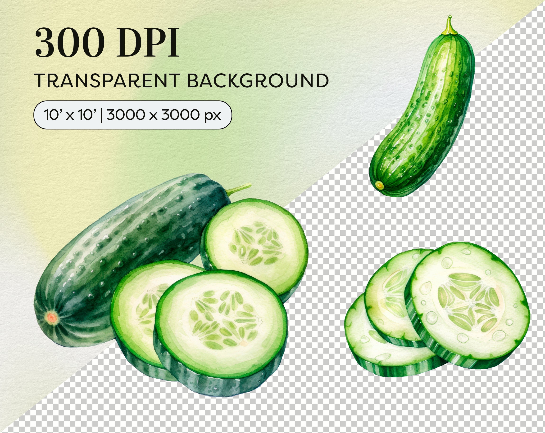 Watercolor Cucumber Clipart - Watercolor Vegetables Fruits - Commercial ...