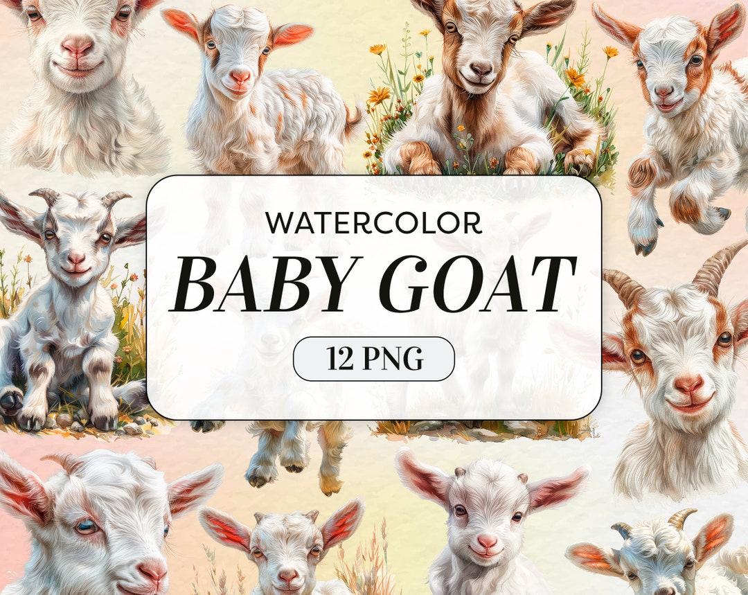 Watercolor Baby Goat Clipart - Cute Goat PNG - Commercial Use - Baby ...
