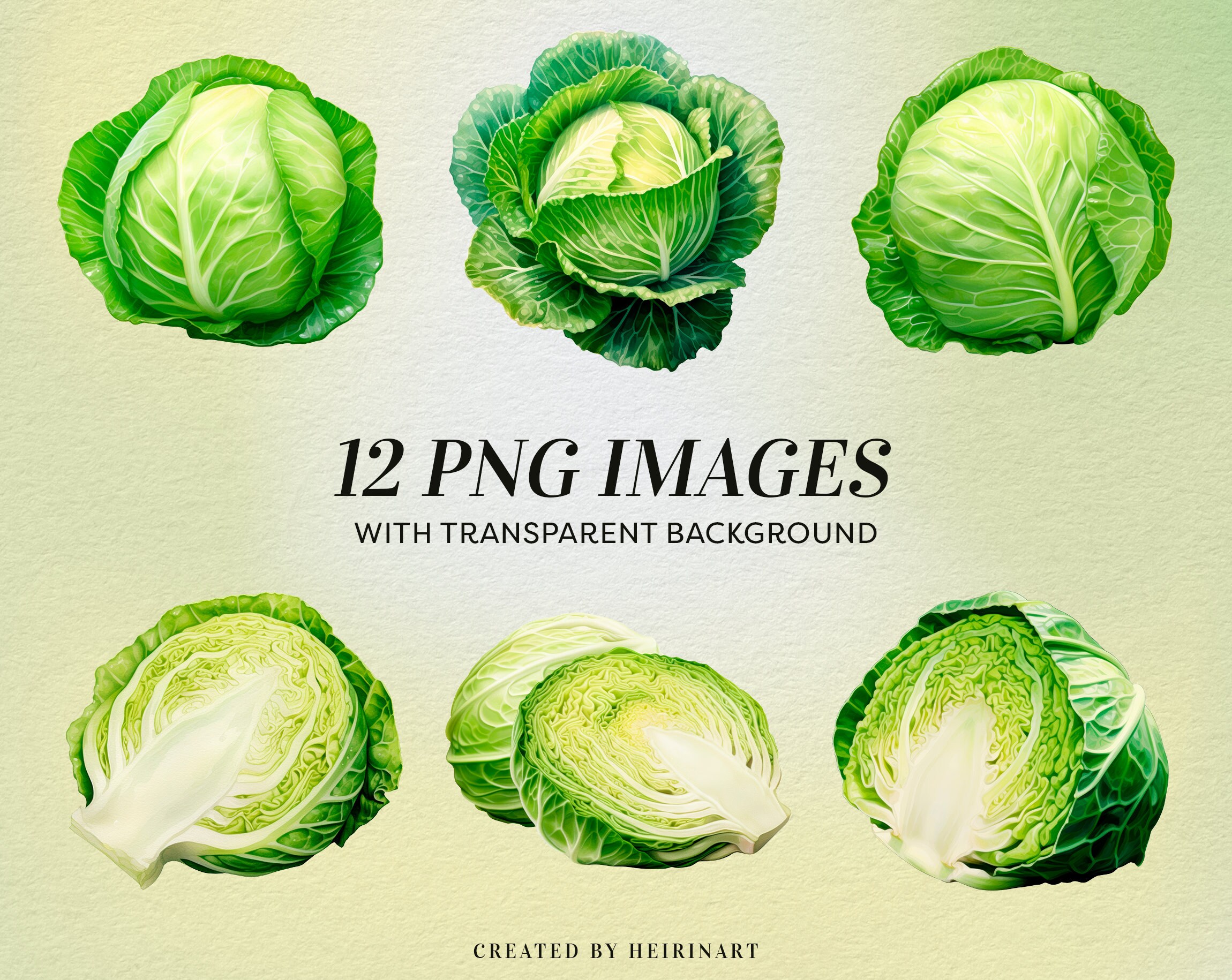 Watercolor Cabbage Clipart - Watercolor Vegetables PNG - Commercial Use ...