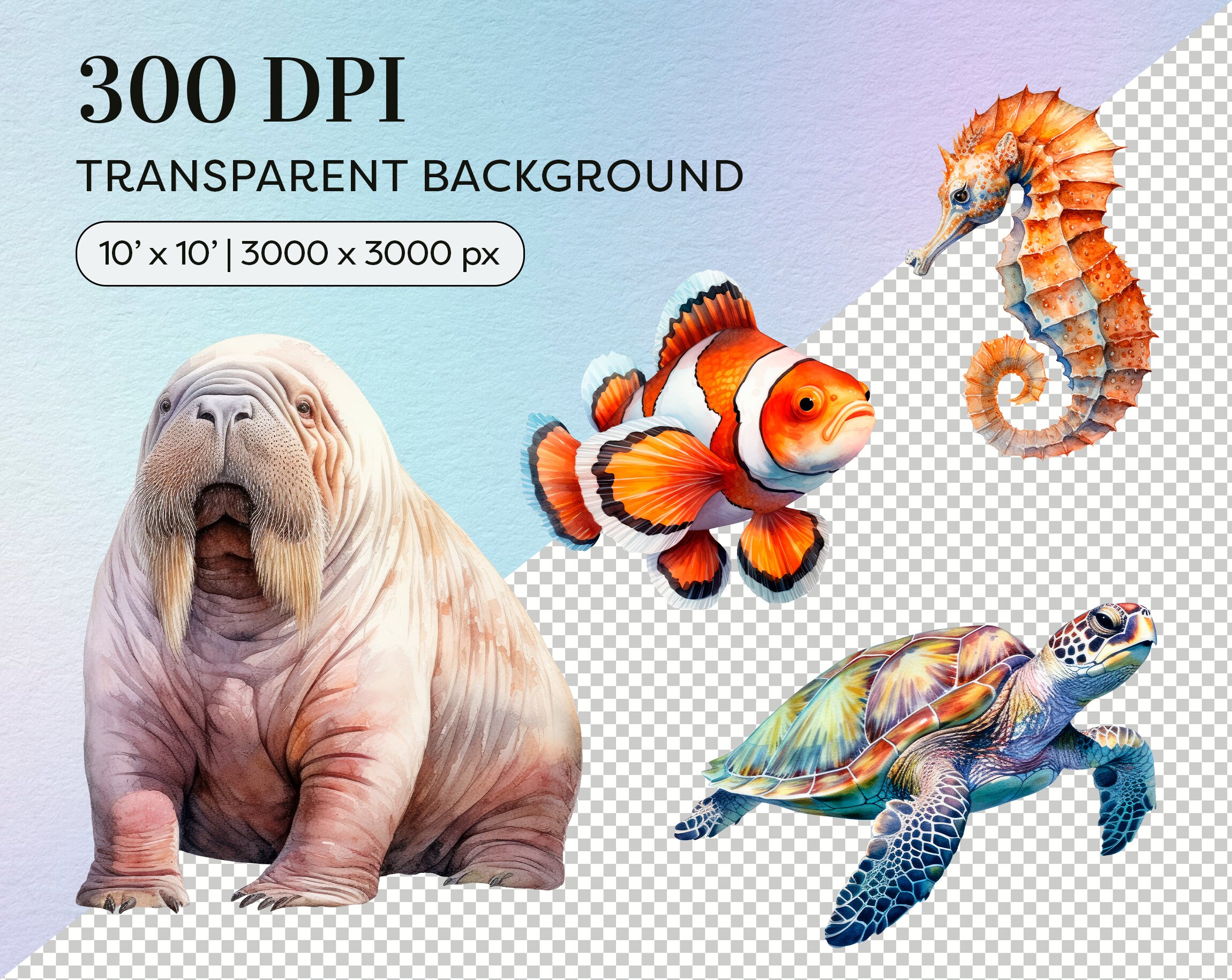 Aquatic Animals Clipart - Watercolor Sea Animals PNG - Commercial Use ...
