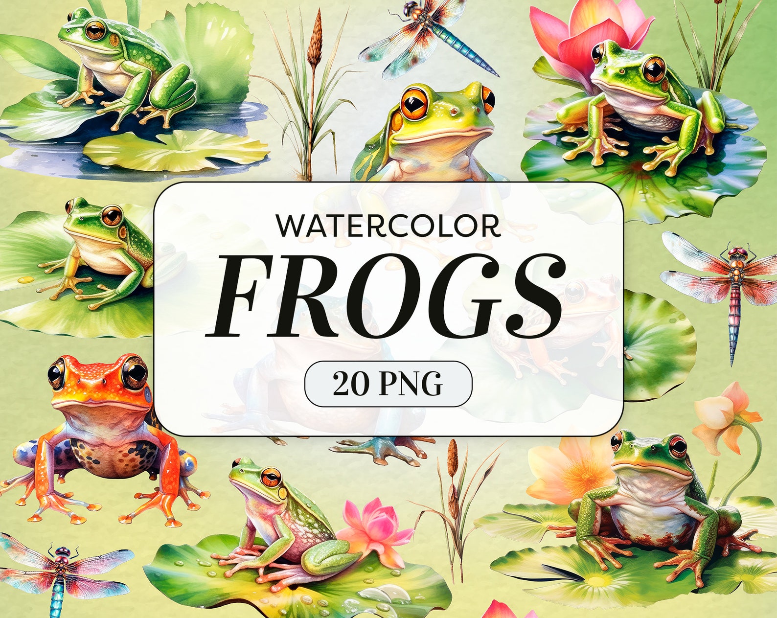 Watercolor Frogs Clipart - Cute Frogs PNG - Commercial Use - High ...
