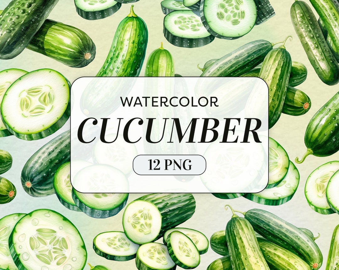Watercolor Cucumber Clipart - Watercolor Vegetables Fruits - Commercial ...