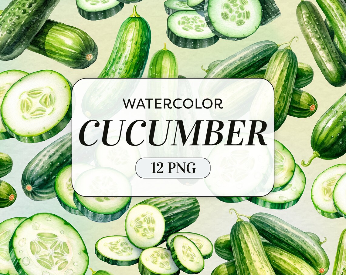 Watercolor Cucumber Clipart - Watercolor Vegetables Fruits - Commercial ...