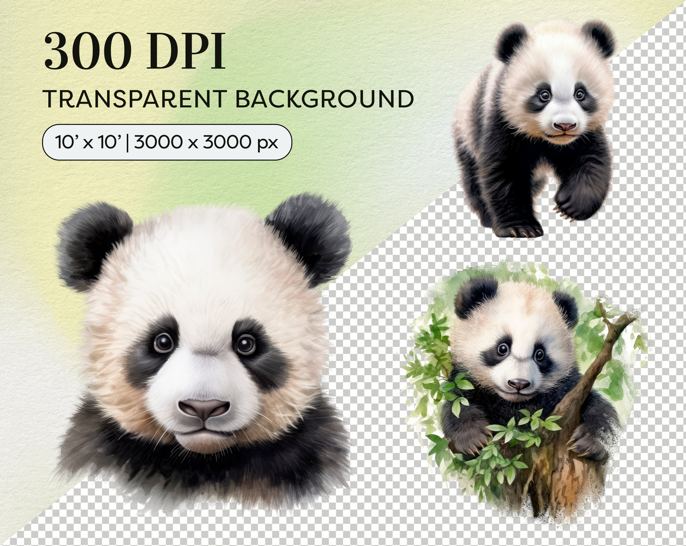 Watercolor Baby Panda Clipart Cute Panda PNG Commercial Use Baby ...