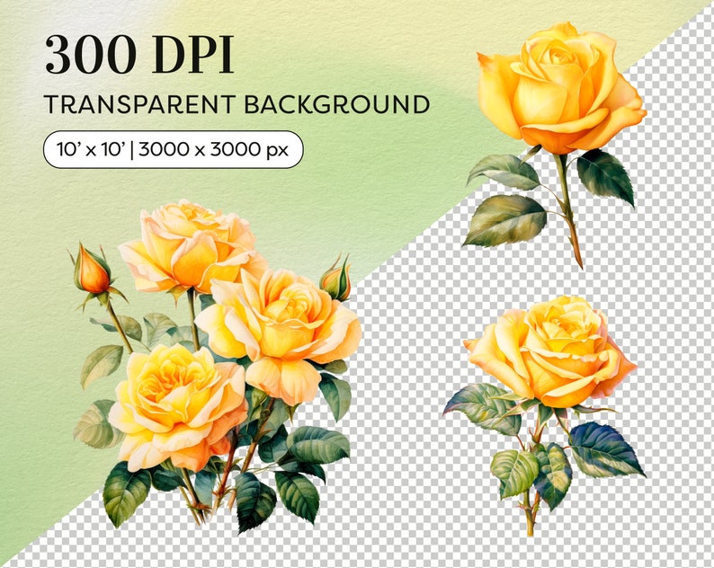 Watercolor Yellow Rose Clipart - Watercolor Flowers - Commercial Use ...