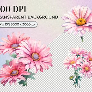 Watercolor Pink Daisy Clipart - Watercolor Flowers PNG - Commercial Use ...