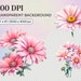 Watercolor Pink Daisy Clipart - Watercolor Flowers PNG - Commercial Use ...