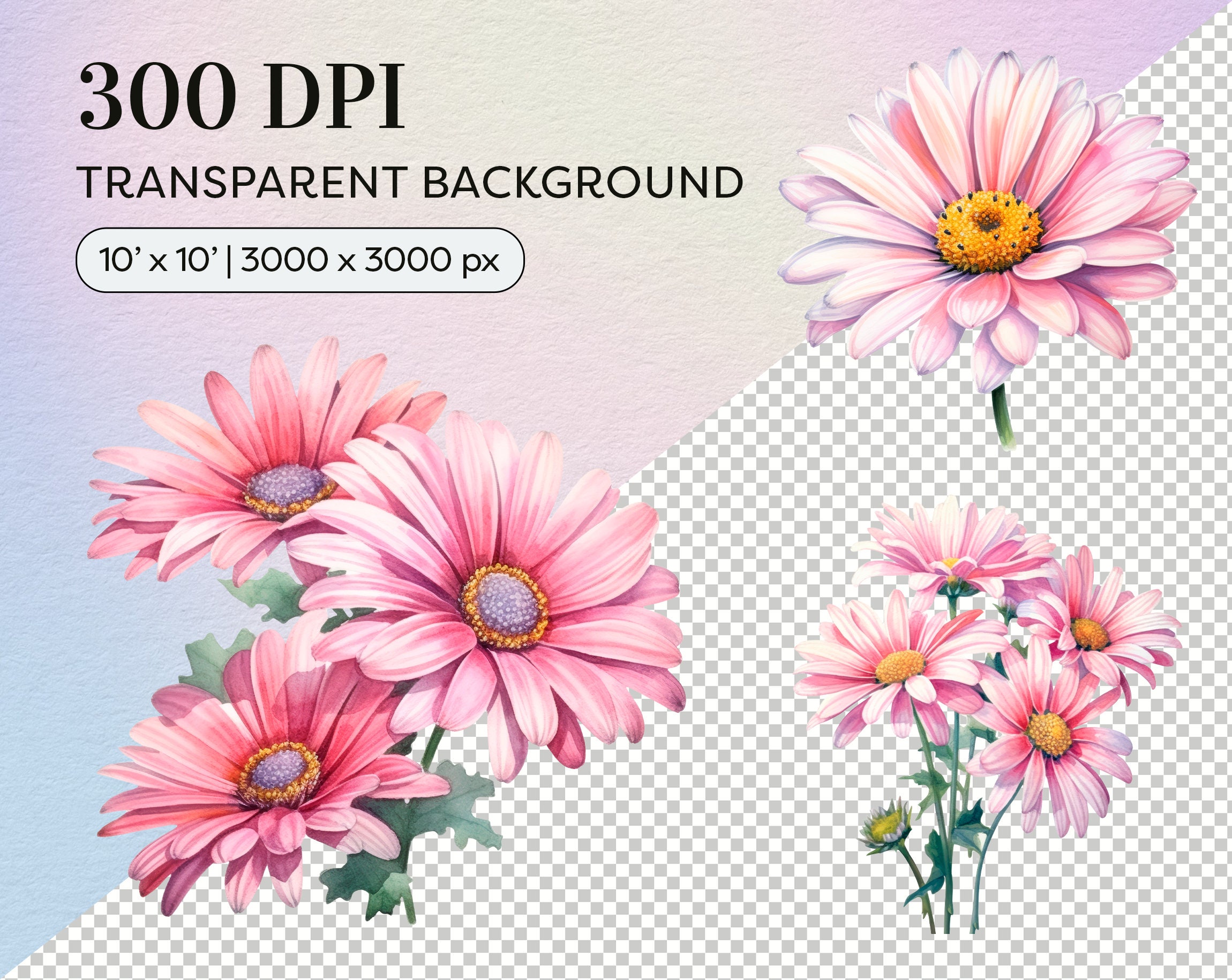 Watercolor Pink Daisy Clipart - Watercolor Flowers PNG - Commercial Use ...