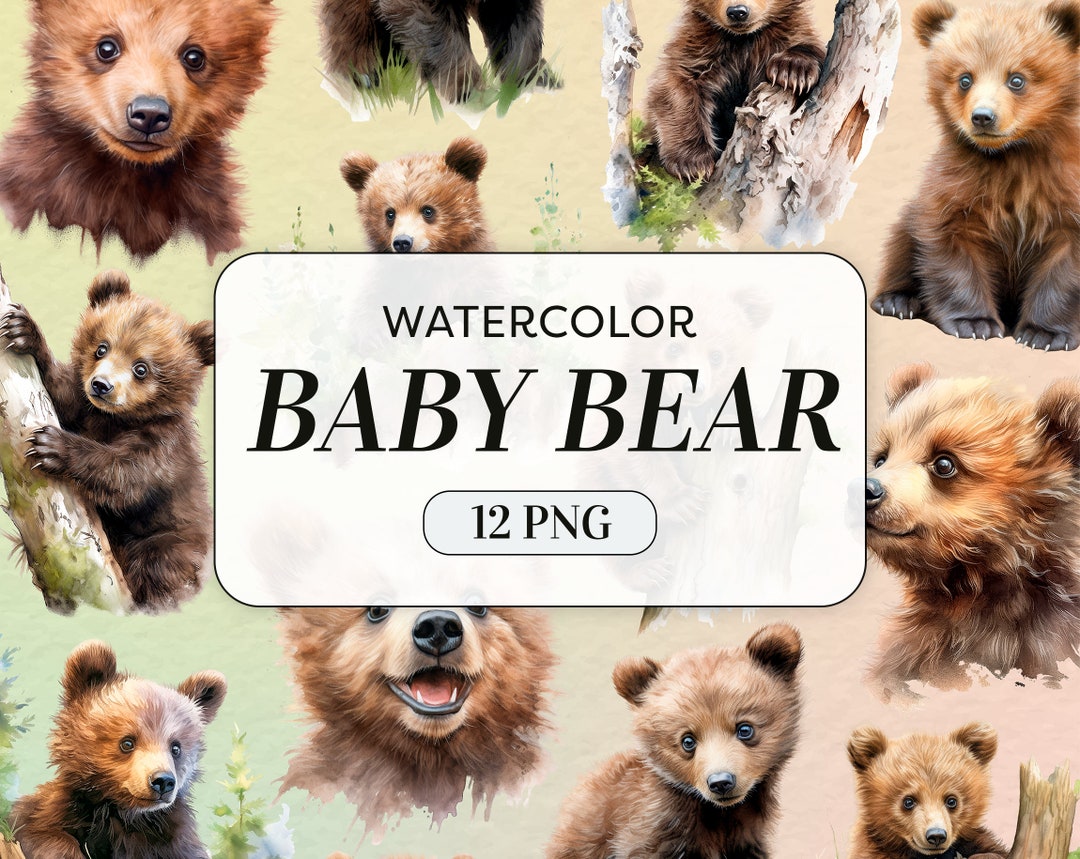Watercolor Baby Bear Clipart - Cute Bear PNG - Commercial Use - Baby ...