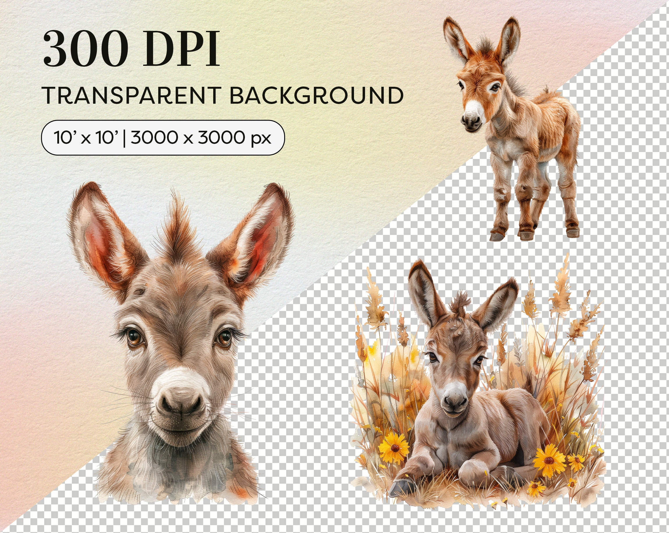 Watercolor Baby Donkey Clipart - Cute Donkey PNG - Commercial Use ...