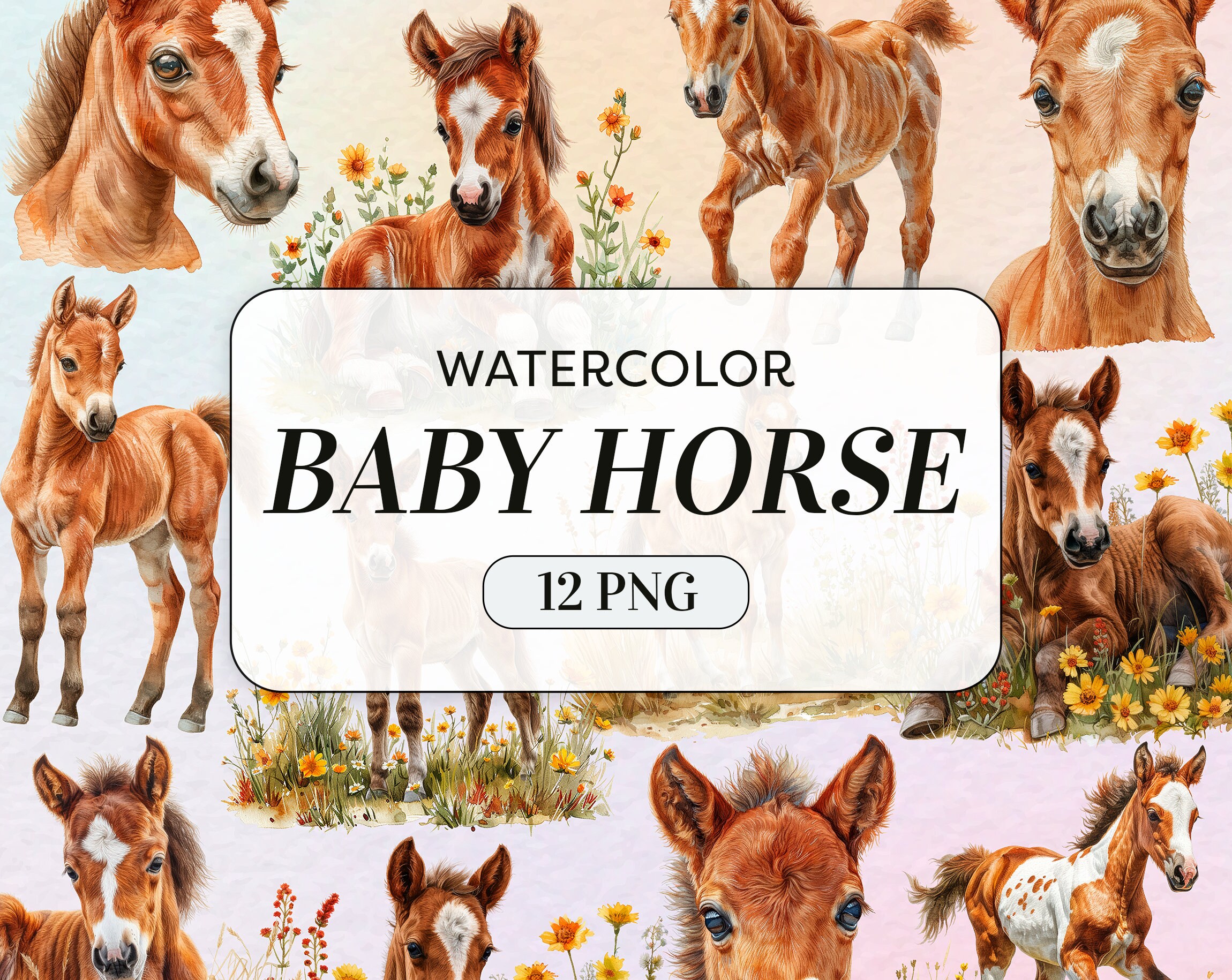 Watercolor Baby Horse Clipart - Cute Horse PNG - Commercial Use - Baby ...