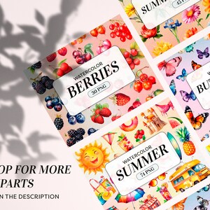 Watercolor Seashell Clipart - Seashell PNG - Commercial Use - Summer ...