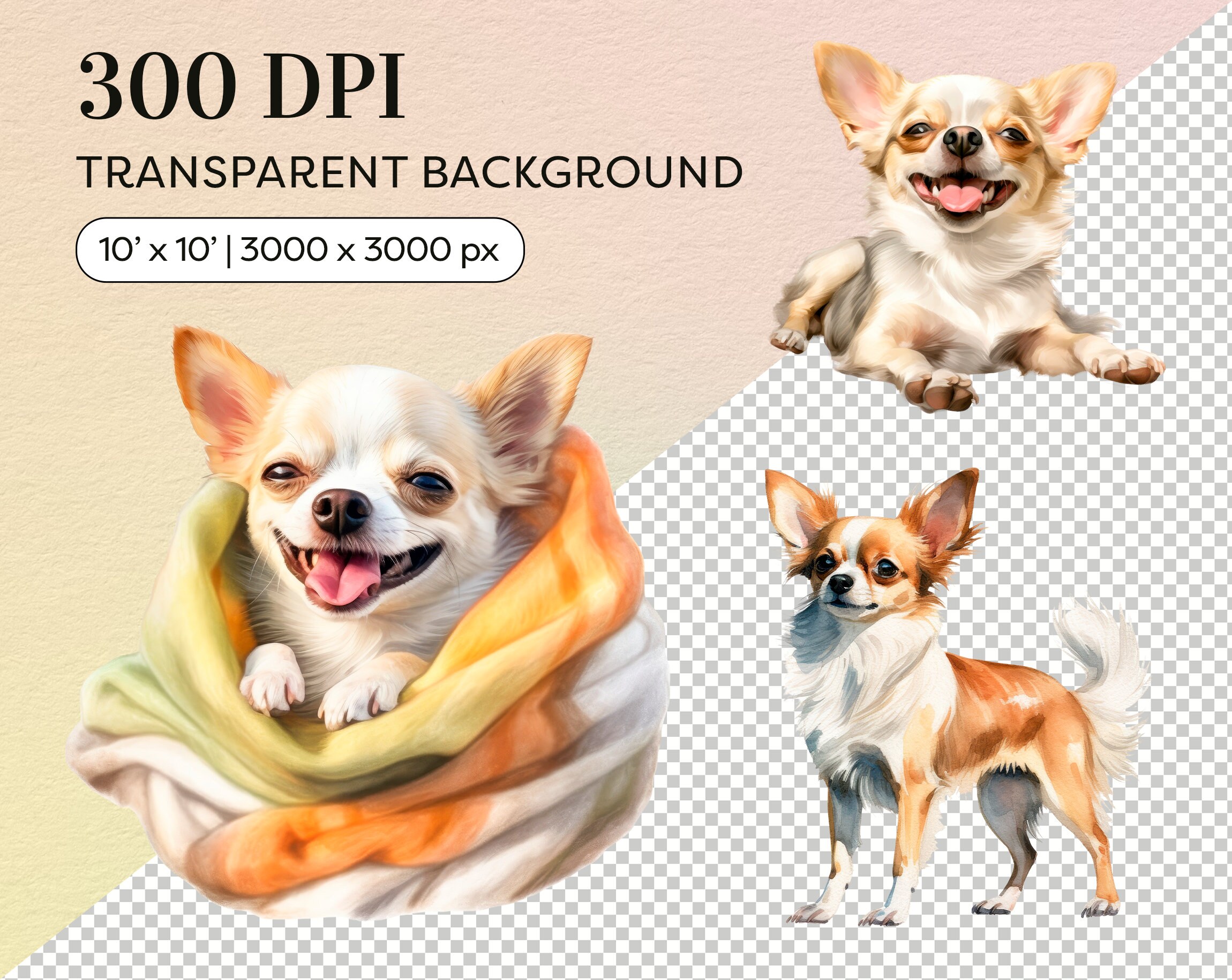 Watercolor Chihuahua Clipart - Pet Dog Portrait - Commercial Use - Cute ...