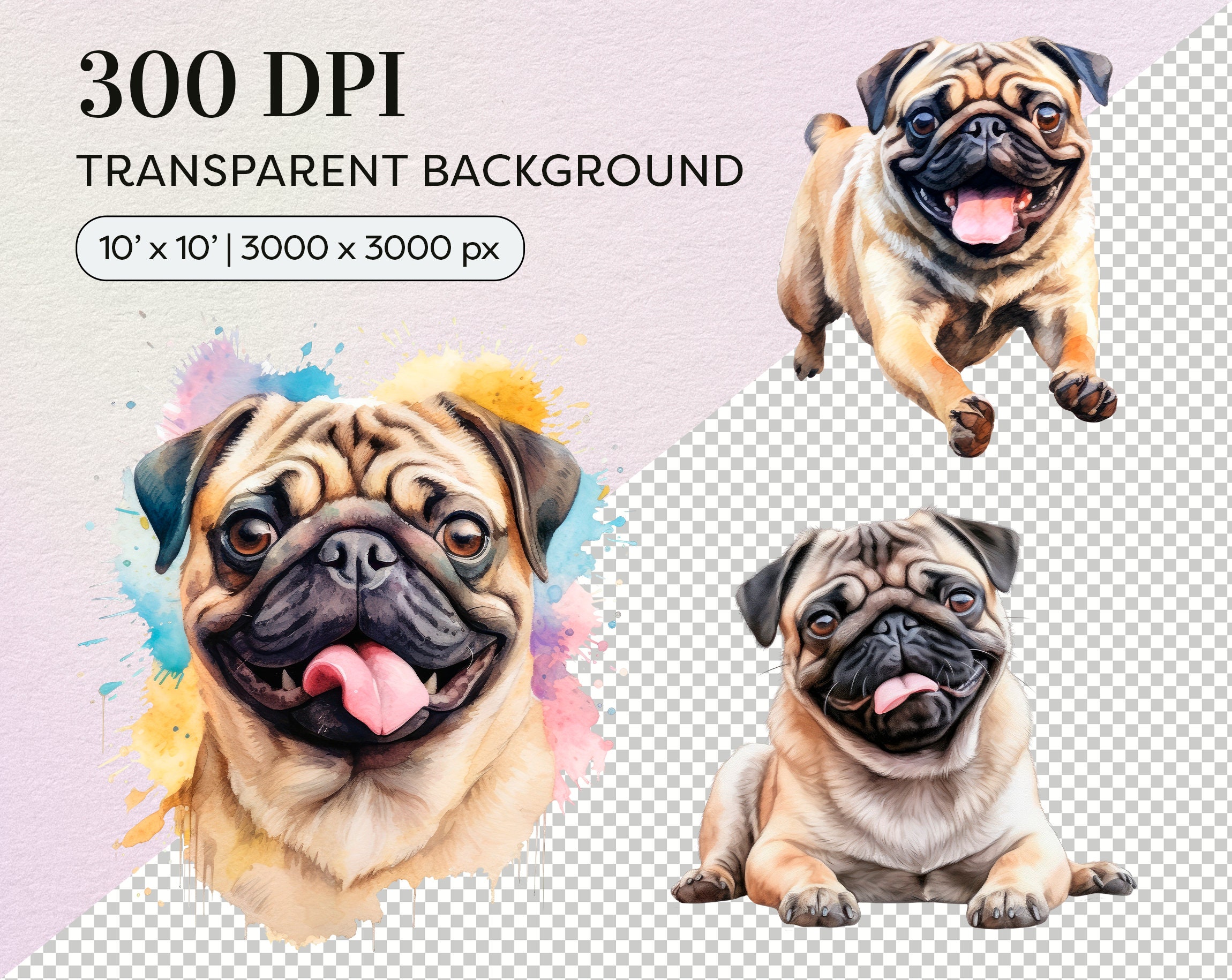 Watercolor Pug Clipart Pet Dog Portrait PNG Commercial Use Cute Dog ...