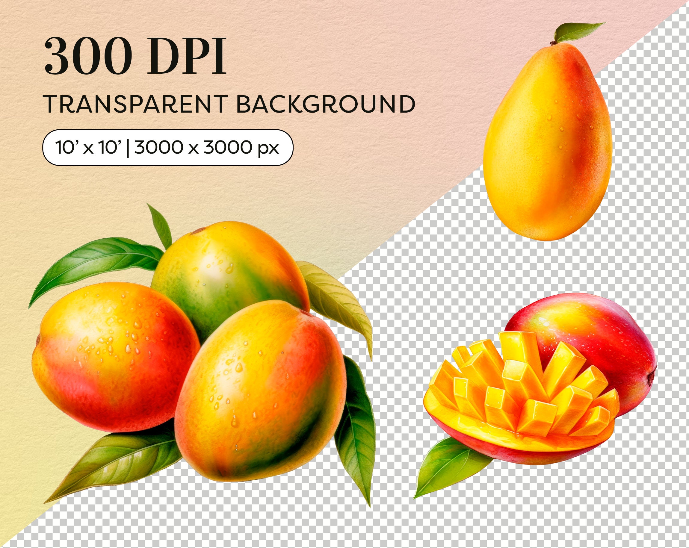Watercolor Mango Clipart - Watercolor Fruits PNG - Commercial Use ...